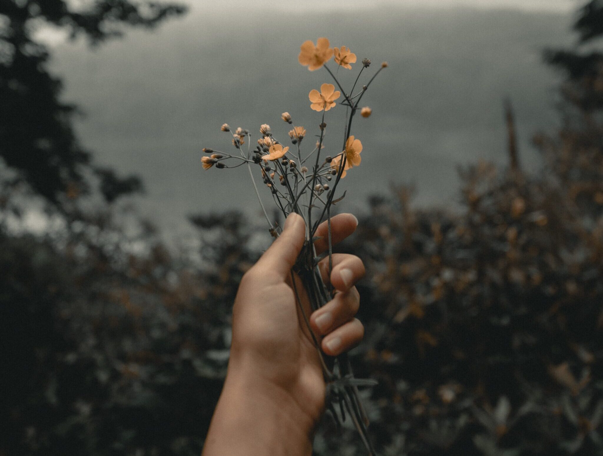 Gift of Giving - Legacy Christian Church